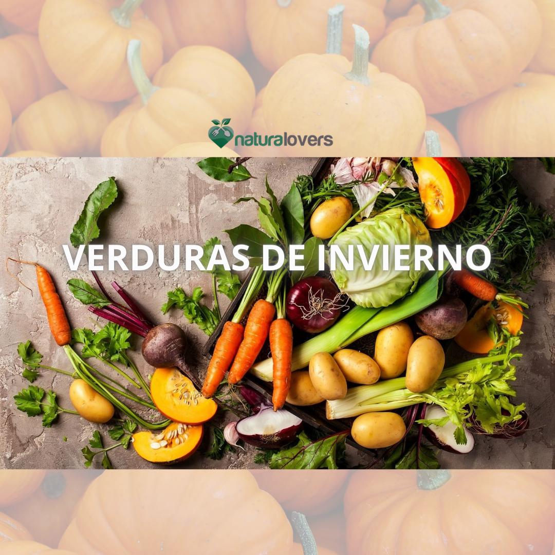 Plantando Verduras De Invierno
